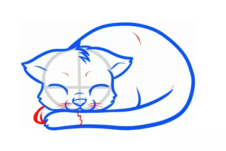 Drawing of a sleeping cat