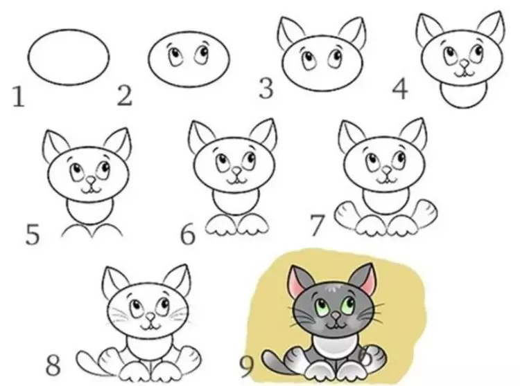 Drawing a kitten step by step