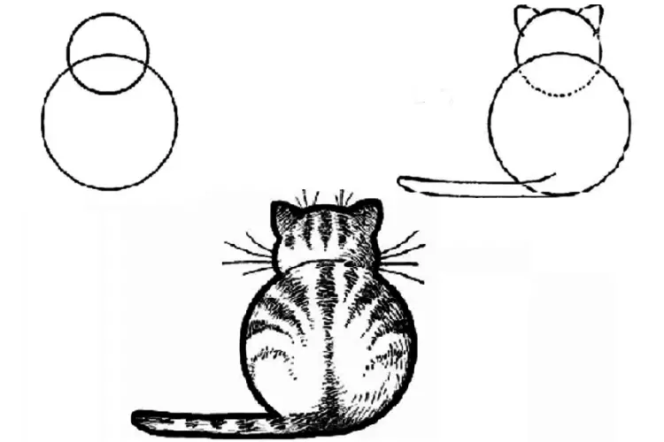 Drawing of a cat from circles