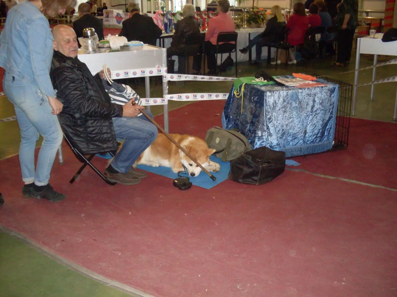 Todo mundo esta cansado