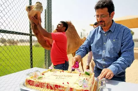 Cumpleaños del primer camello clonado Injaz