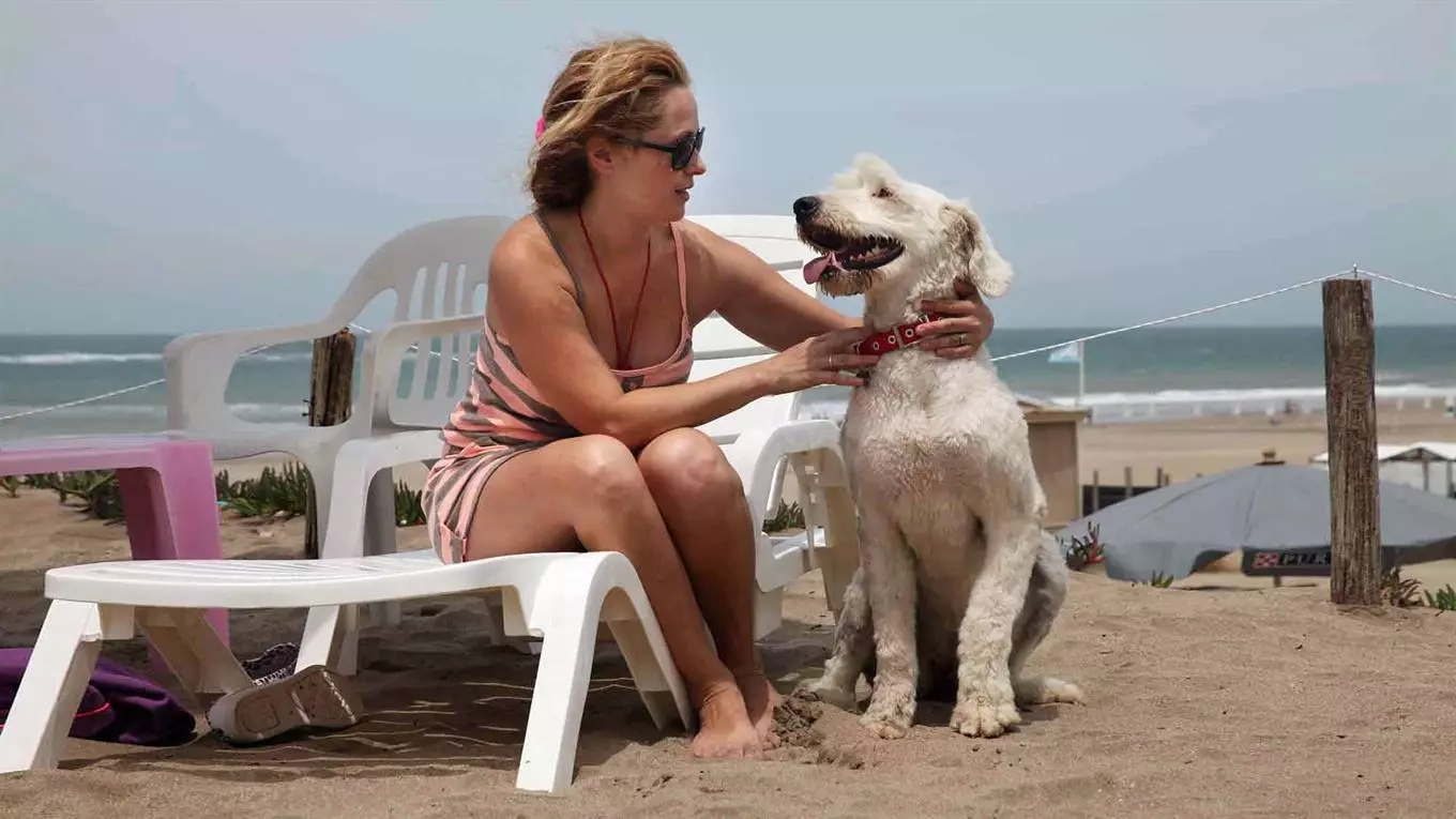 na praia para cachorros