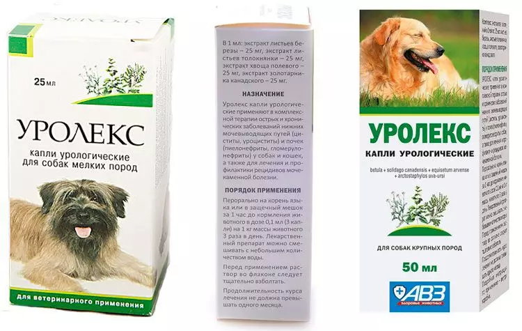 Urolex pour chiens