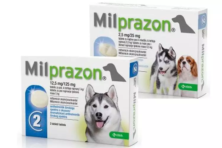 Milprazon voor honden