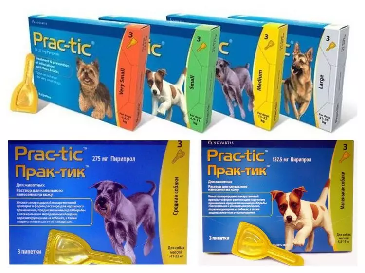 Drops of the Practitioner from ticks for dogs