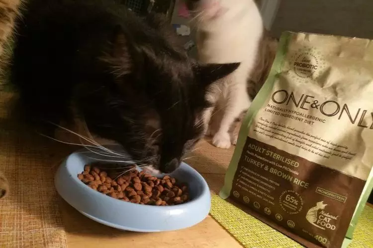 القط يأكل طعام واحد وفقط