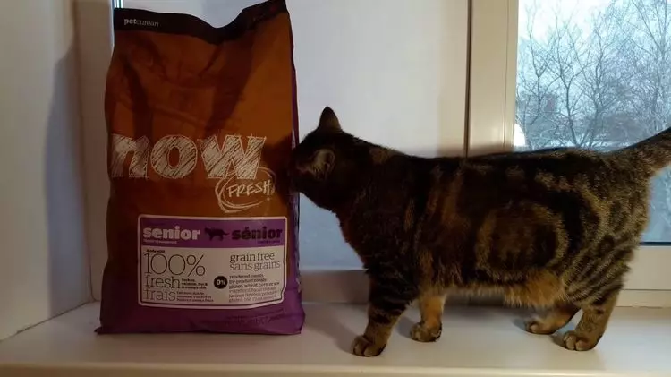 Կատու և սնունդ Now Natural Holistic - սնունդ կատուների համար