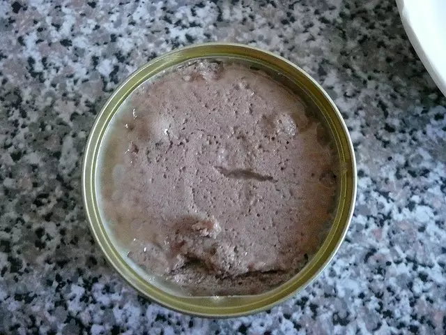 texture de pâté en conserve chez les chats