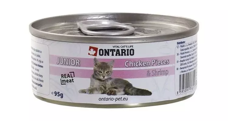מזון לחתולים רטובים
