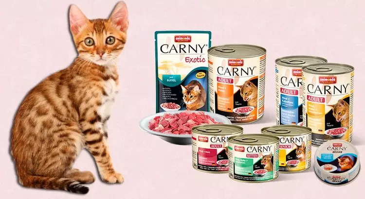 غذای آنیموندا برای گربه ها