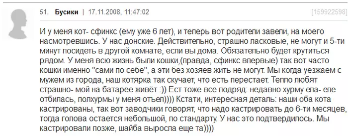 Дон Сфинкс: акс, тавсифи зоти гурбаҳо, шарҳҳо, хусусият ва нигоҳубин 995_7