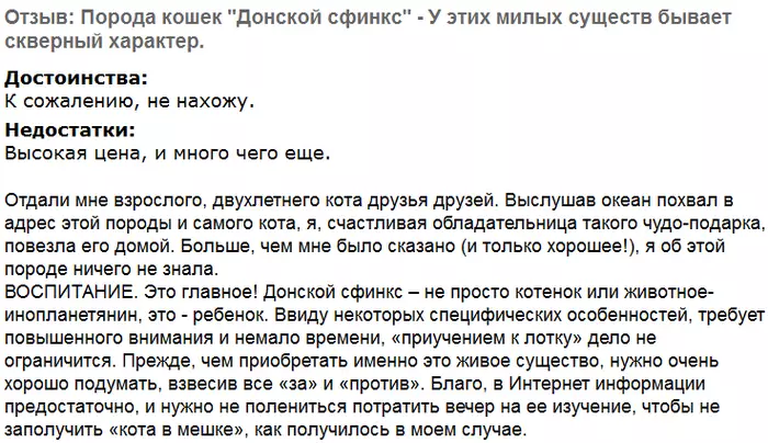 Дон Сфинкс: акс, тавсифи зоти гурбаҳо, шарҳҳо, хусусият ва нигоҳубин 995_8