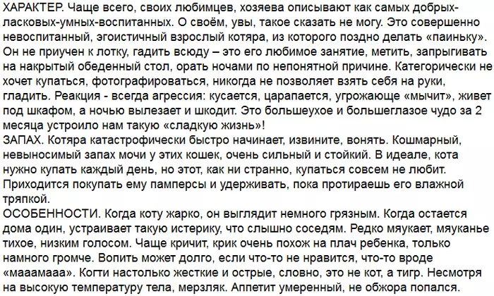 Дон Сфинкс: акс, тавсифи зоти гурбаҳо, шарҳҳо, хусусият ва нигоҳубин 995_9